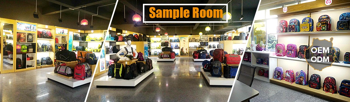 Discuss the strategic plan with LILLE company - Acbags